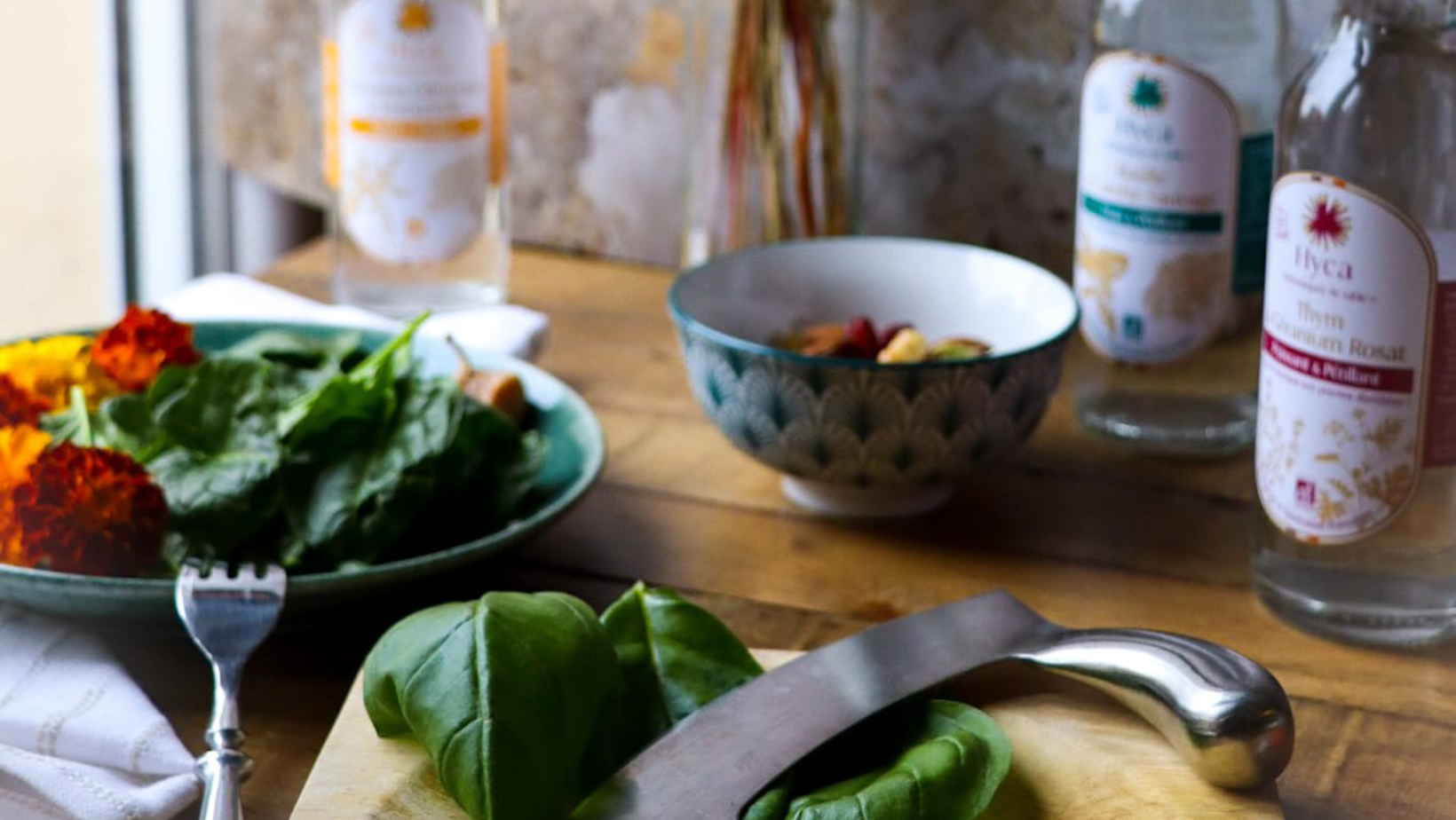 Portrait d’exposant 2023 - Hyca - Parc Floral de Paris